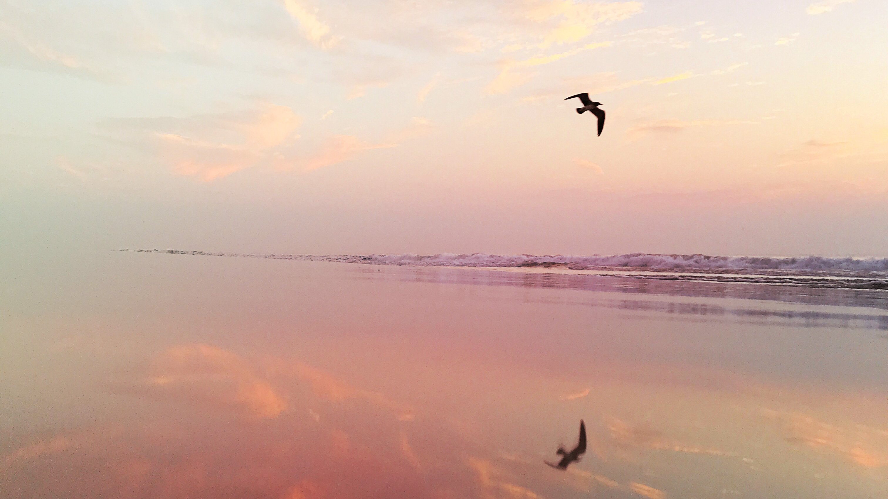 God's Gifts to Pastors: Bringing Out Treasures New and Old - CT Pastors