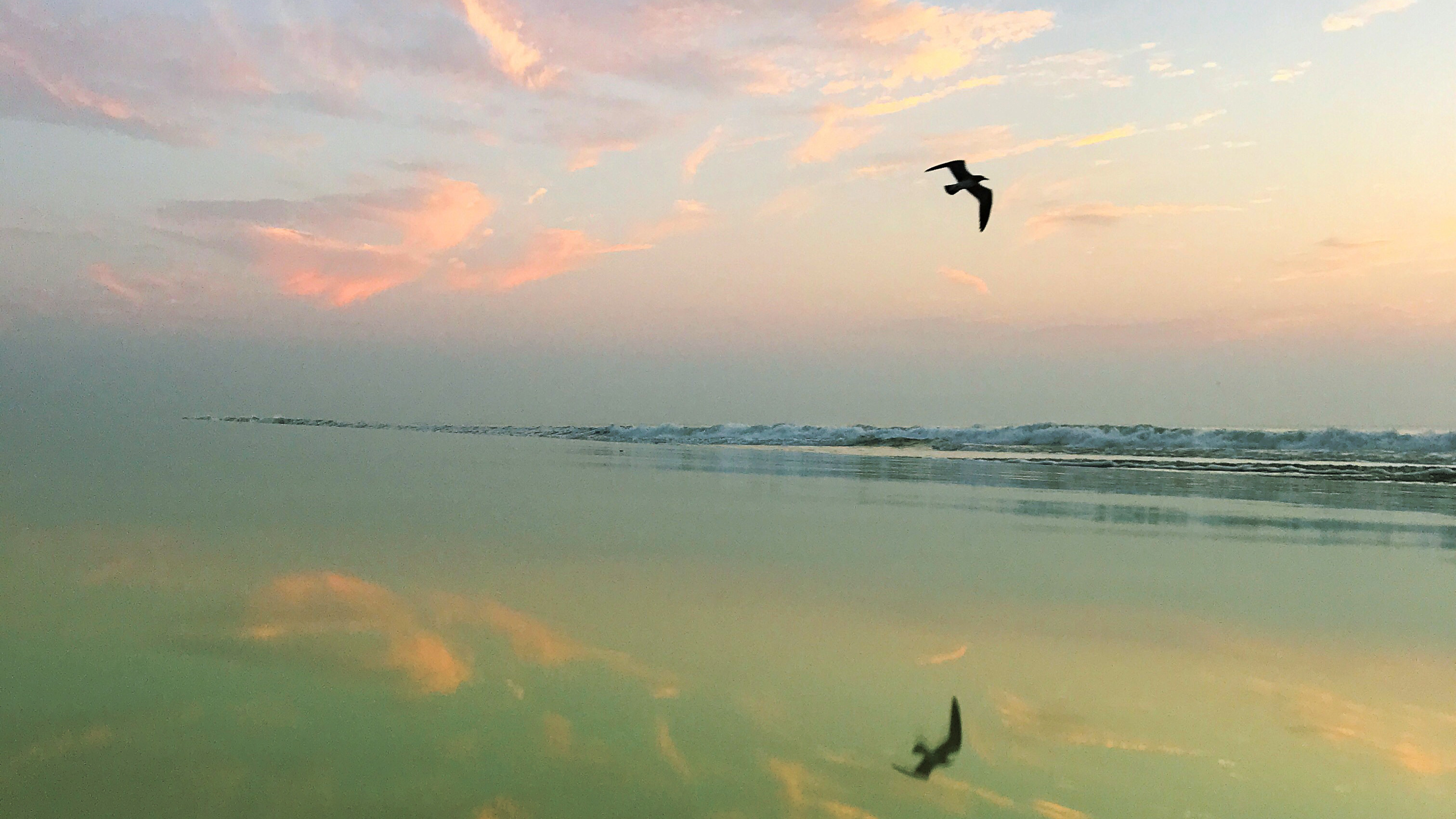 Banner Bearers - CT Pastors