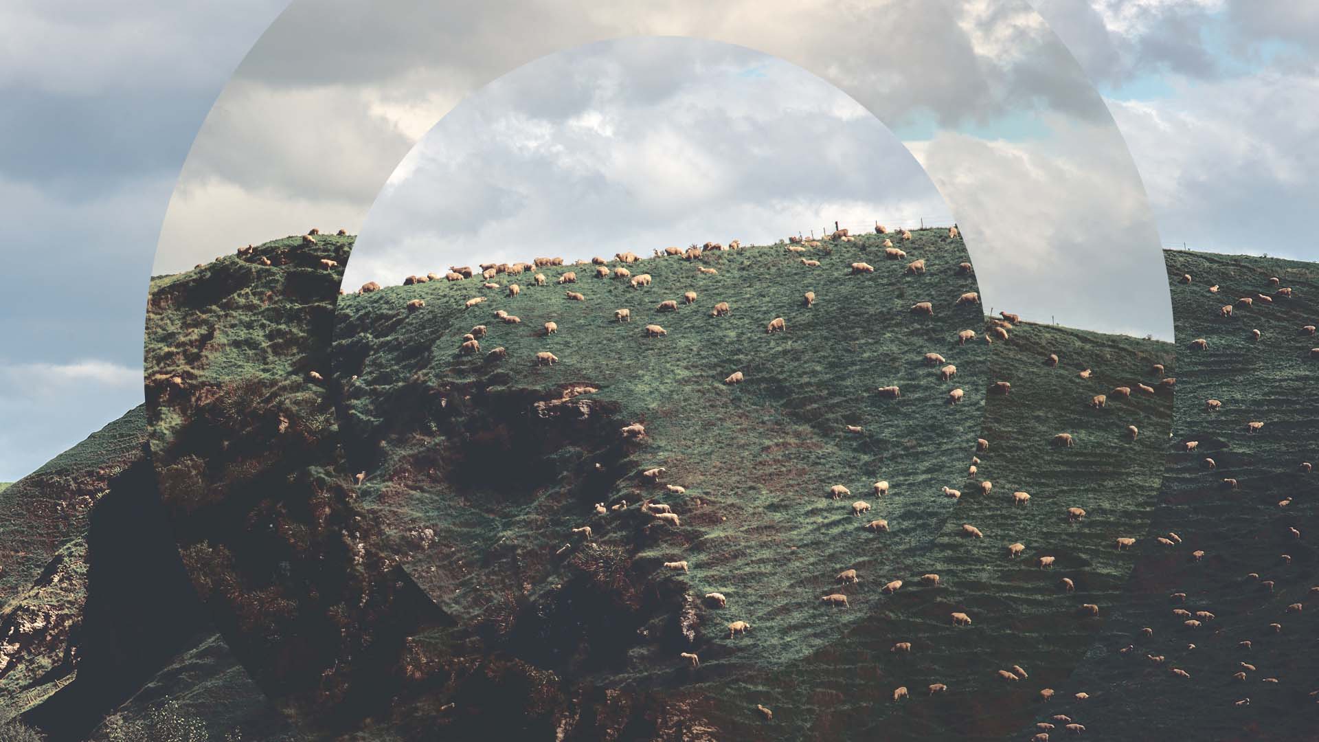 Shepherding in a Shifting Financial Landscape - CT Pastors