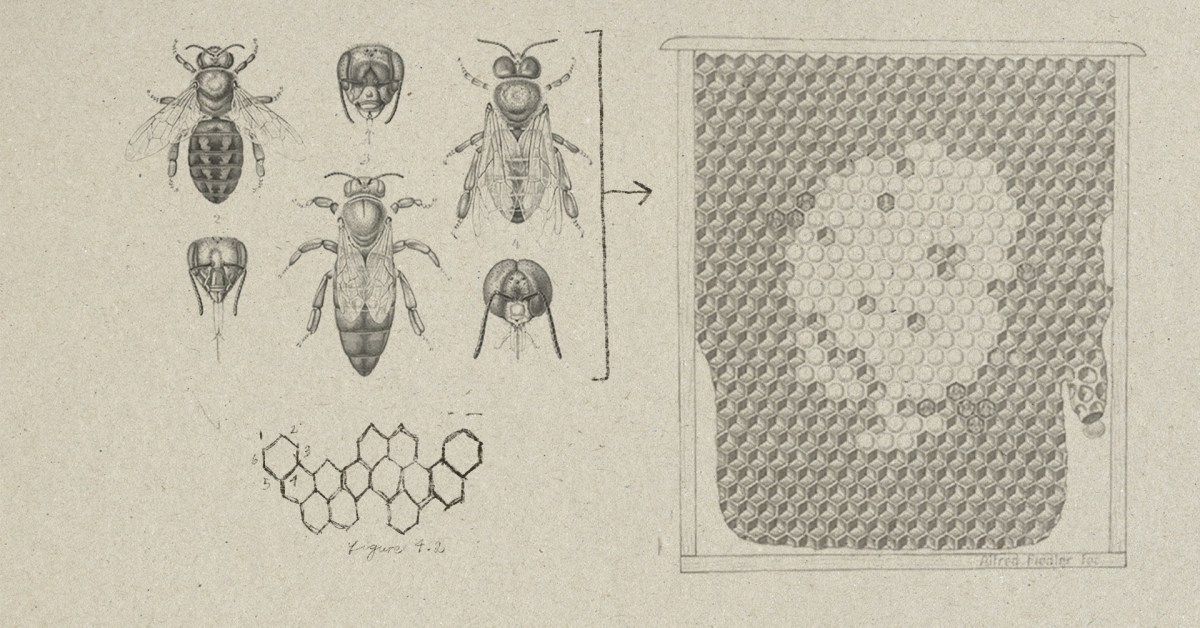 What Does a Disciple Look Like? - CT Pastors