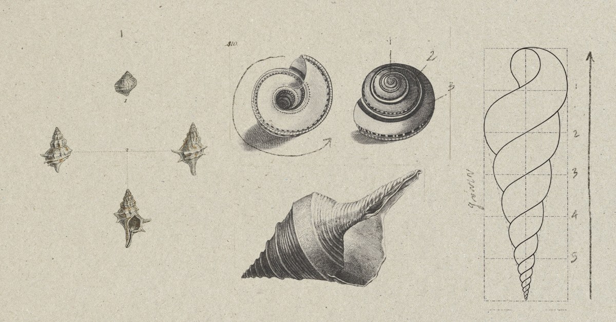 Helping People Grow in Spiritual Maturity - CT Pastors