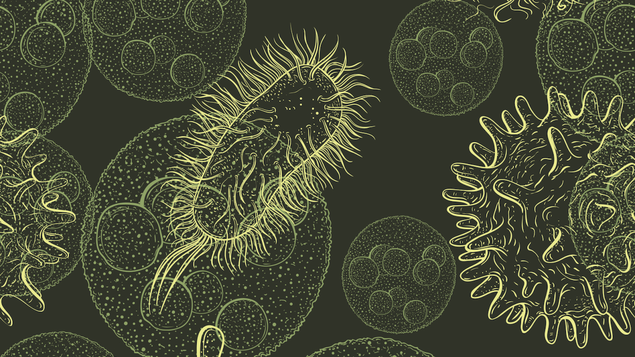 Bacteria in the Body - Christianity Today