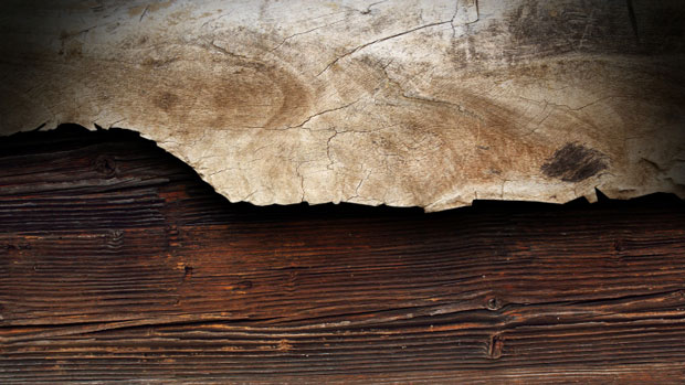 Friday Five Interview: Greg Forster - Christianity Today