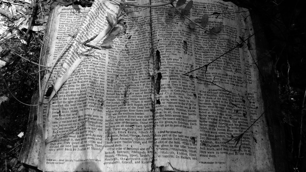 The Bible Is More Than a 'Mystery' - Christianity Today