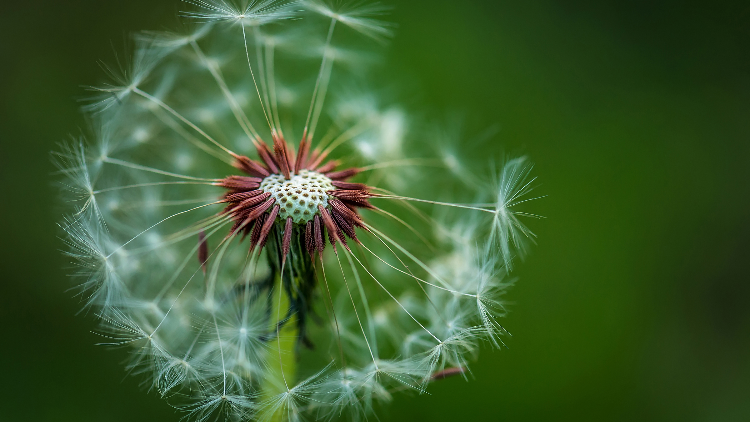 Hope - Christianity Today