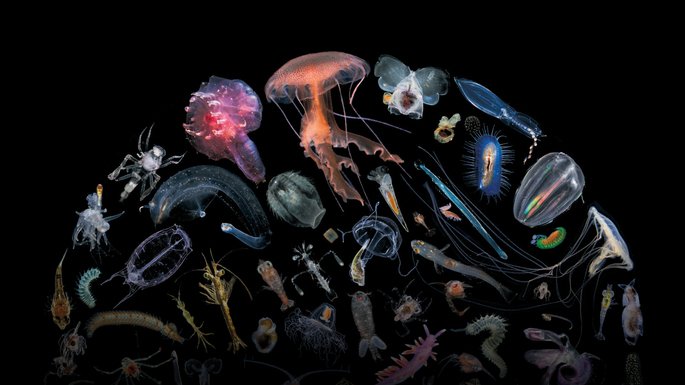 The Drifters - Christianity Today