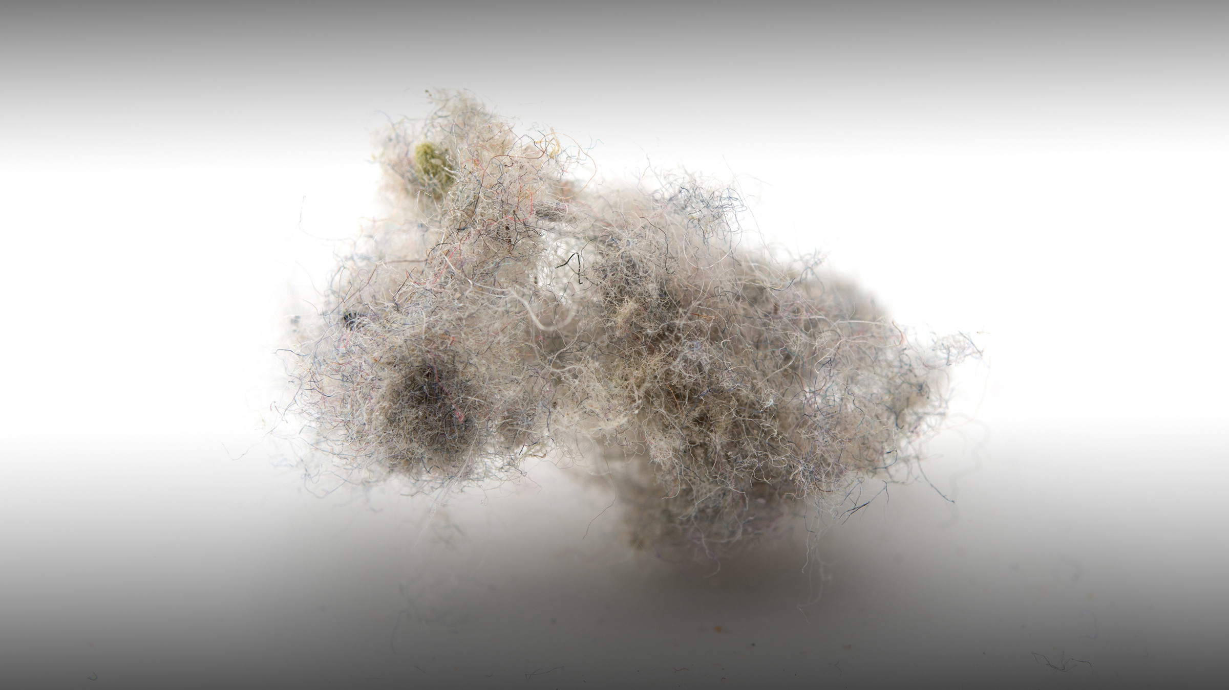 Earth to Earth, Ashes to Ashes - Christianity Today