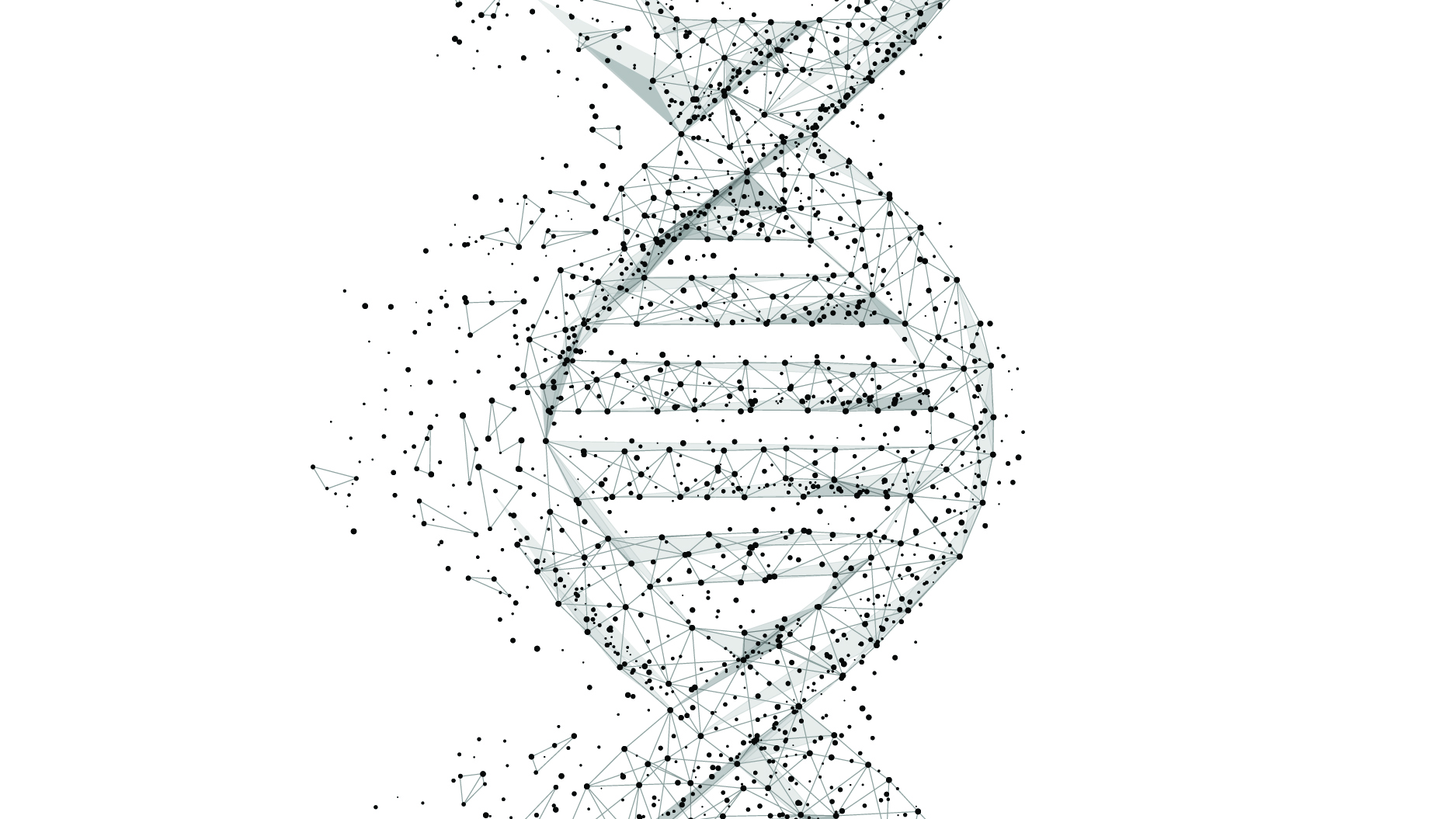 Engineered in His Image? Christians More Cautious About Gene Editing ...