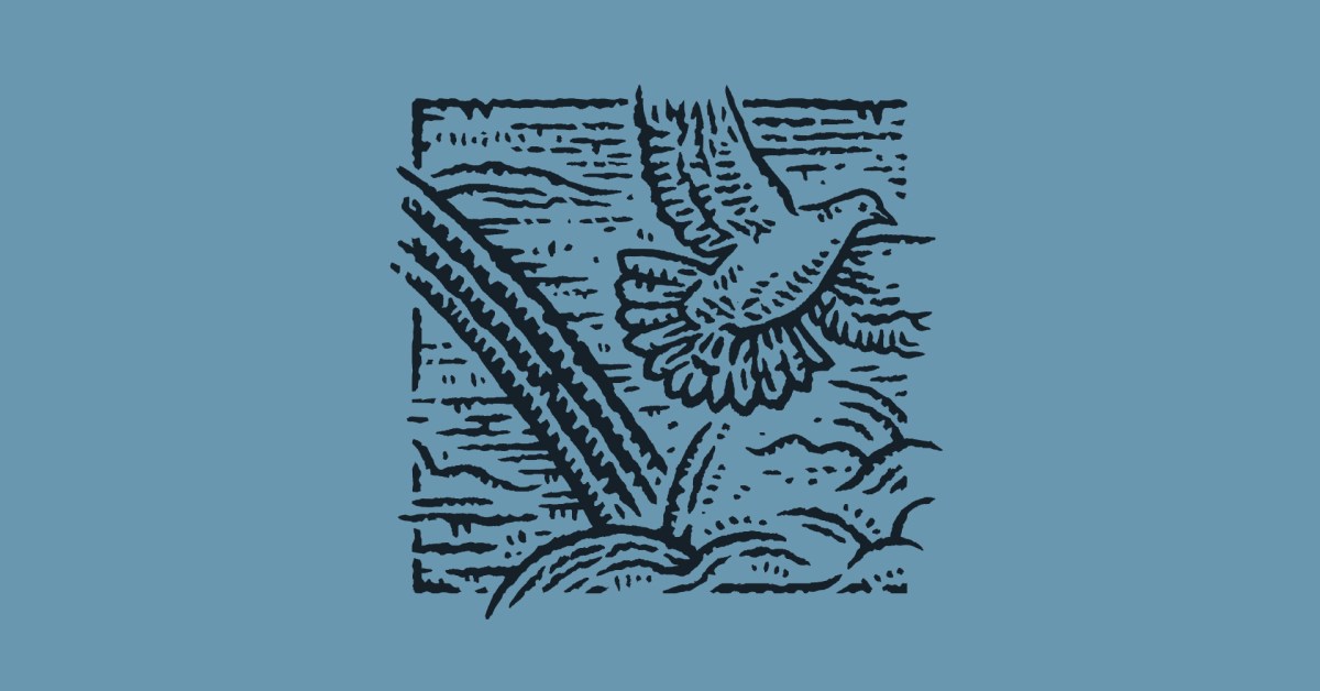 A Vision of Peace - Christianity Today