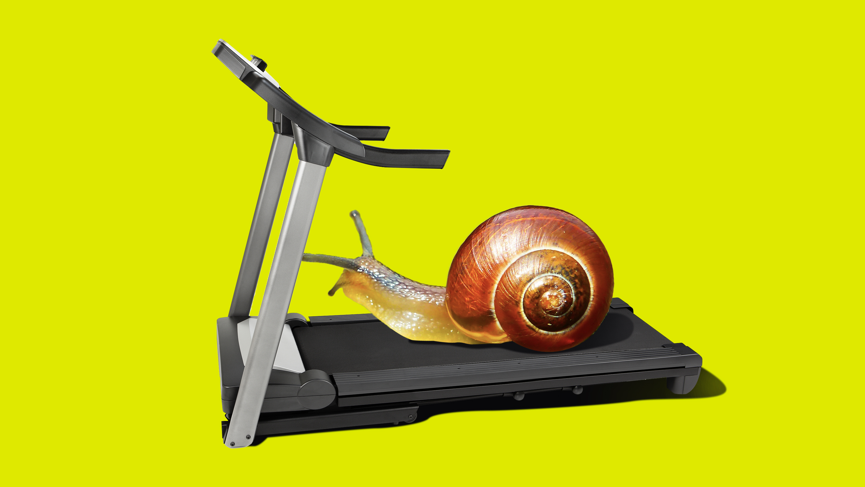 Making Haste Slowly in Our Walk With God - Christianity Today