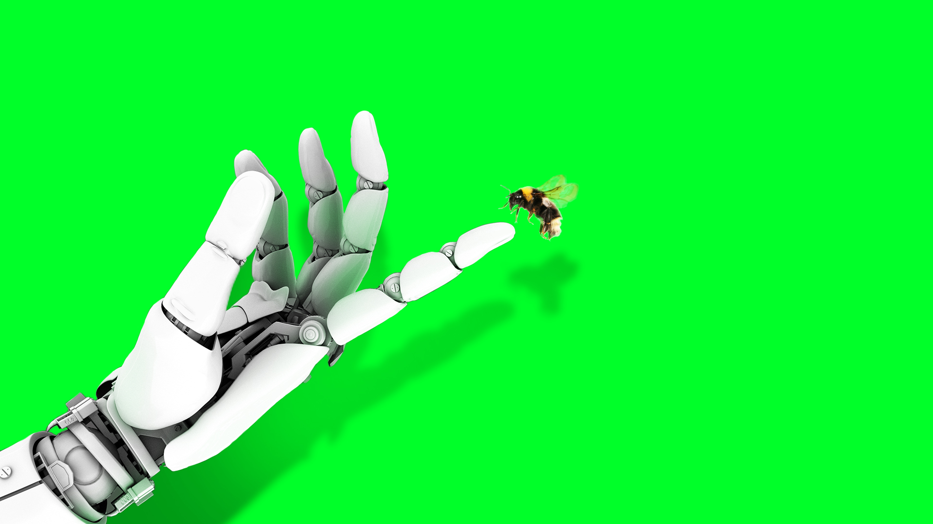 The Bots and the Bees - Christianity Today