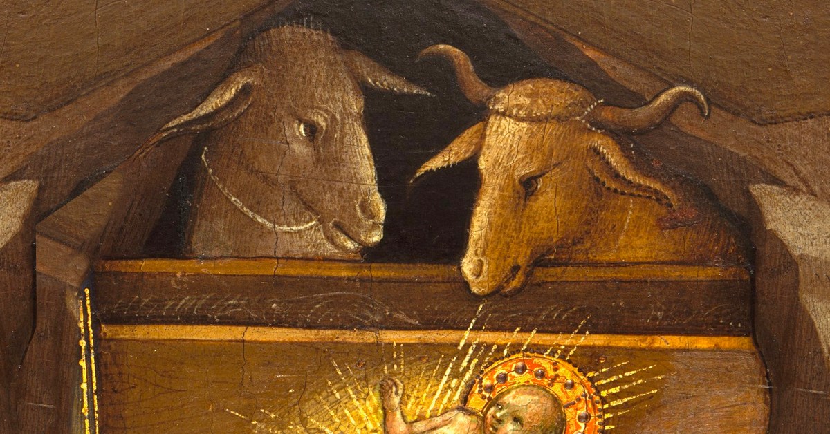 Where Ox and Ass Are Teaching - Christianity Today