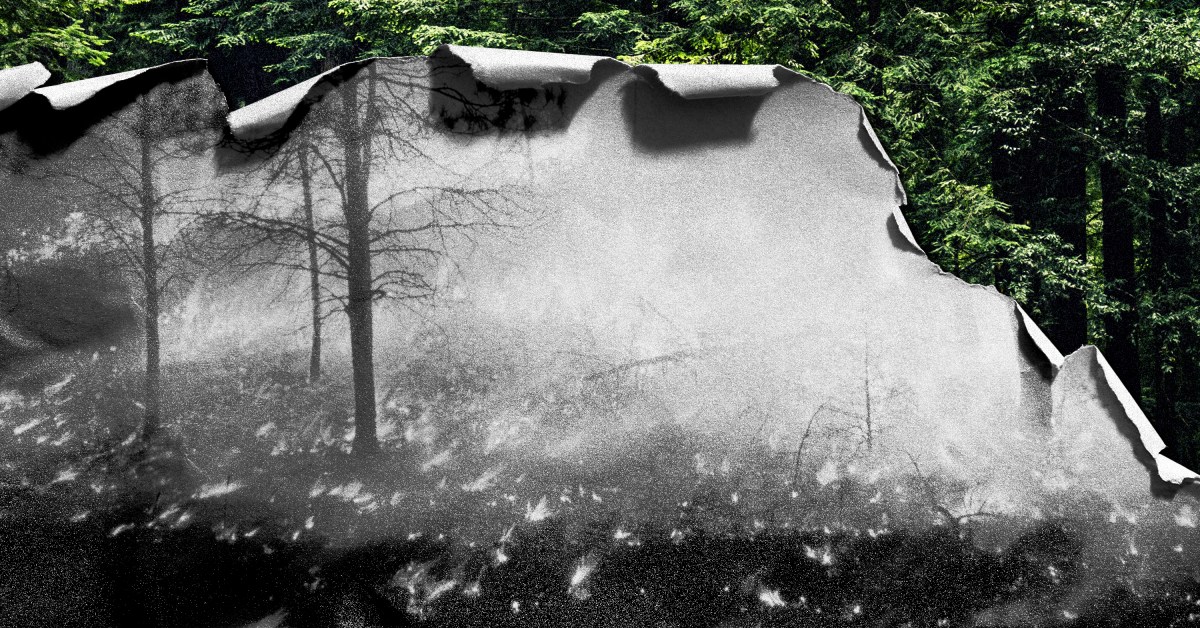 Radical Hope in an Age of Climate Doomsday - Christianity Today