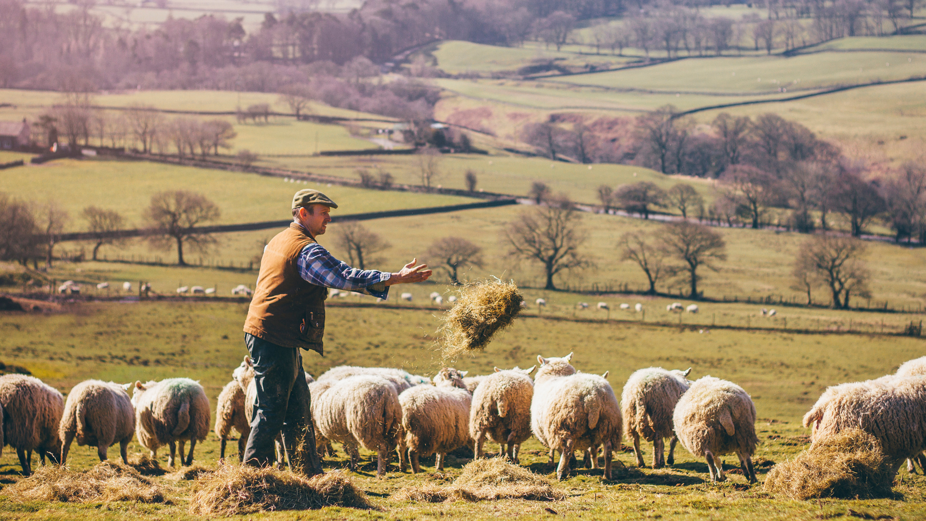 CT Pastors - Church Leaders & Leadership Training - Christianity Today